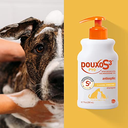 Douxo S3 PYO Shampoo 16.9 oz (500 mL)