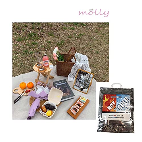 Withmolly Thermal Insulated Bag (Hot Cold Bag) Food Storage & Carry Bags Reusable Lunch Bags with ice pack (3, 13.8''x17.7'')