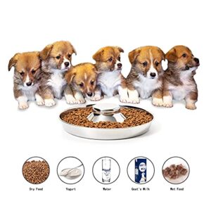 Thankspaw Stainless Steel Puppy Bowls, Set of 2 Puppy Feeder, Dog Food and Water Bowl, Food Feeding Weaning for Small Medium Large Dogs, Pets, M