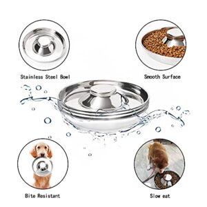 Thankspaw Stainless Steel Puppy Bowls, Set of 2 Puppy Feeder, Dog Food and Water Bowl, Food Feeding Weaning for Small Medium Large Dogs, Pets, M