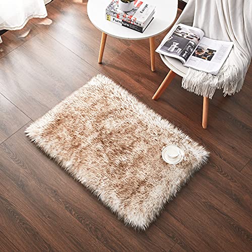 Bedroom Area Rug, Washable Faux Fur Fluffy Shag Rugs, 2x3' Modern Non Slip Shaggy Small Rug for Home Decor Living Room, Kids Room Bedside Square Soft Plush Carpets,Milk Brown