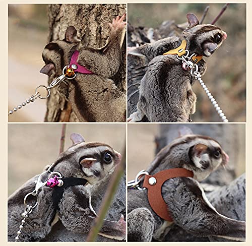 3 Pack Sugar Glider Harness and Leash Set - Adjustable Traction Rope Strap Anti-Biting Chain Rope, Small Animal Training Walking Vest Leash for Sugar Glider Squirrel Hamster Rat Birds Reptile (Black)