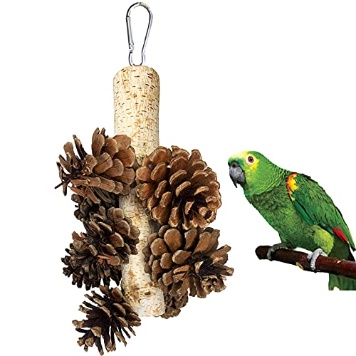 kathson Bird Chewing Toys Natural Pine Cones Hanging Foraging Toys Parrot Tearing Toys for Parakeet Cockatiel Conure African Grey Parrot Lovebirds Budgies Cockatoos