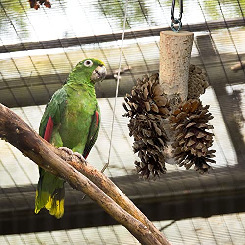 kathson Bird Chewing Toys Natural Pine Cones Hanging Foraging Toys Parrot Tearing Toys for Parakeet Cockatiel Conure African Grey Parrot Lovebirds Budgies Cockatoos