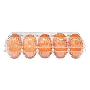 36 Pack Egg Cartons Bulk Holds 10 Chicken Eggs with Date Labels, Clear Plastic Tray