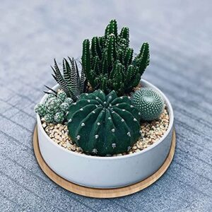 Ebingoo 2 pcs 10 inch Thick Solid Bamboo Large Plant Saucer for Outdoors 8-10 inch Pots Round Plant Trays for Indoors no Holes Durable Flower Succulent Cactus Planter Plant Plate