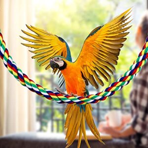 Weewooday 2 Pieces Toy Bird Rope Perches Climbing Rope Bungee Bird Toys Rope Perch Stand Cage Rope Comfy Perch Parrot Toys for Parrot, Parakeets Cockatiels, Conures (21.6 Inch)