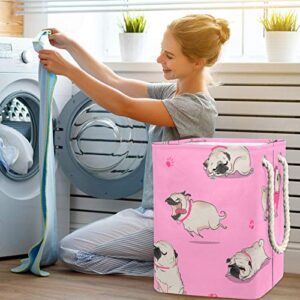 Inhomer Laundry Hamper Playing Pug Dog Funny Pink Collapsible Laundry Baskets Firm Washing Bin Clothes Storage Organization for Bathroom Bedroom Dorm