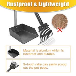 TOOGE Pooper Scooper, Dog Pooper Scooper Long Handle Stainless Metal Tray and Rake for Large Medium Small Dogs Heavy Duty (Green) (A-Standard)