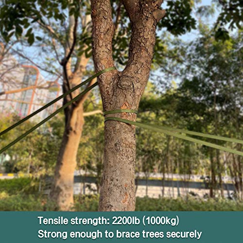 Tenn Well Tree Support Strap, 65 Feet x 1 inch Tree Straps for Staking, Nylon Tree Tie Rope for Plant Support, Straightening (2200 Lbs Strength, Green)