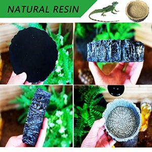 Hamiledyi 3 Pack Reptile Water Dish Food Bowl Set Resin Bearded Dragon Rock Food Feeder Dish Terrarium Bowls with Feeding Tweezers Tong for Leopard Gecko Lizard Frog Snake Chameleon Tortoise