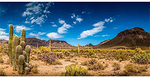 AWERT 36x18 inches Reptile Habitat Background Blue Sky Oasis Cactus Desert Terrarium Background Durable Polyester Background