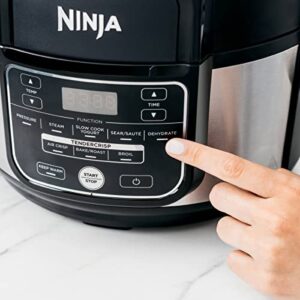 Ninja Foodi Programmable 10-in-1 5-Quart Pressure Cooker and Air Fryer - FD101 Stainless Steel (Renewed)