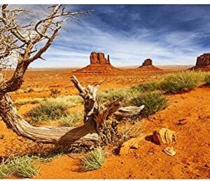 AWERT 36x18 inches Reptile Habitat Background Orange Desert Terrarium Background Durable Polyester Background