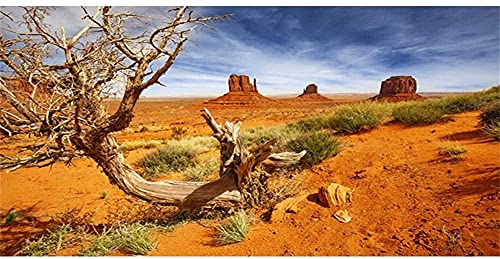 AWERT 36x18 inches Reptile Habitat Background Orange Desert Terrarium Background Durable Polyester Background