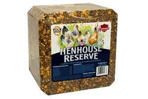 kalmbach feeds henhouse reserve supplement treat block for chickens, 20 lb