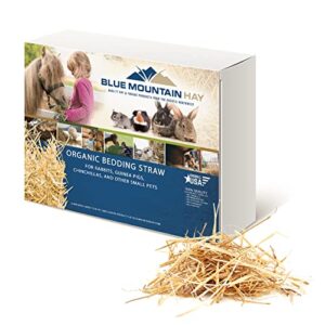 blue mountain hay organic bedding straw (3lb) natural animal bedding straw for guinea pigs, chinchillas, rabbits, hamsters, chickens, feral cats & chicken coops | pet bedding straw | pet shelters