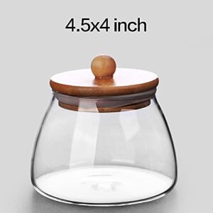 Mozacona Glass Food Storage Container Candy Dish Spice Jar with Seal Wooden Lid