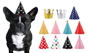 cbm dog party hat set - dog birthday party - hats and crowns party time - 11pcs