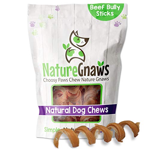 Nature Gnaws Bully Stick Springs for Dogs - Premium Natural Beef Dental Bones - Long Lasting Curly Dog Chew Treats for Aggressive Chewers - Rawhide Free