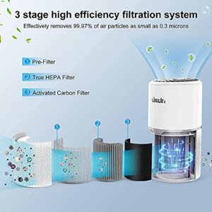 Likein Air Purifier for Home with H13 True HEPA Filter, 22dB Filtration System Cleaner, 3-13W Low Energy Consumption, Remove 99.97% Pets Hair Dander Pollen Dust Smoke Odors, White