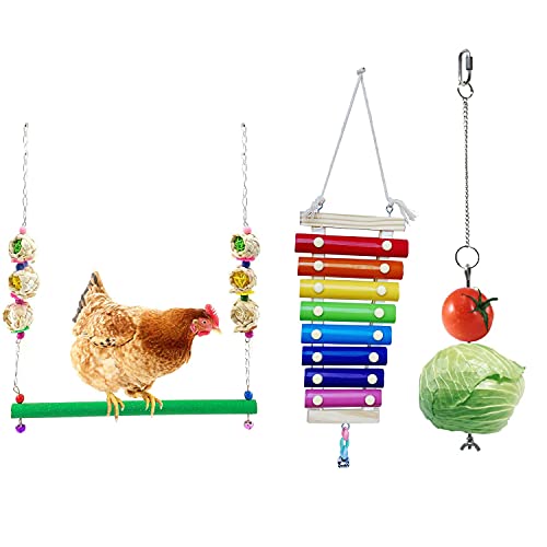 IOUH Green Swing Chicken Toy Chicken Swing Chicken Bird Xylophone Toy and Chicken Veggies Skewer Fruit Holder - Bird Chicken Feed Toys Chicken Stand Toy for Hens Bird Parrot Training Chicken coop 3PCS