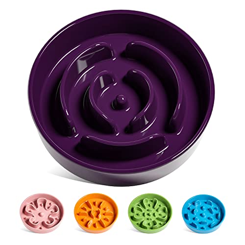 LE TAUCI Slow Feeder Dog Bowls Ceramic, 1.5 Cups Slow Feeding Dog Bowl Small Medium Breed, Puppy Slow Feeder Bow for Fast Eaters, Dog Dishes to Slow Down Eating, Puzzle Dog Food Bowl, Maze Purple