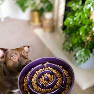 LE TAUCI Slow Feeder Dog Bowls Ceramic, 1.5 Cups Slow Feeding Dog Bowl Small Medium Breed, Puppy Slow Feeder Bow for Fast Eaters, Dog Dishes to Slow Down Eating, Puzzle Dog Food Bowl, Maze Purple