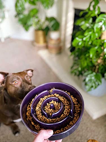 LE TAUCI Slow Feeder Dog Bowls Ceramic, 1.5 Cups Slow Feeding Dog Bowl Small Medium Breed, Puppy Slow Feeder Bow for Fast Eaters, Dog Dishes to Slow Down Eating, Puzzle Dog Food Bowl, Maze Purple