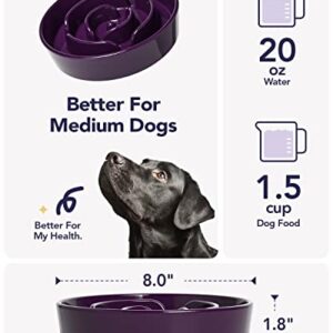 LE TAUCI Slow Feeder Dog Bowls Ceramic, 1.5 Cups Slow Feeding Dog Bowl Small Medium Breed, Puppy Slow Feeder Bow for Fast Eaters, Dog Dishes to Slow Down Eating, Puzzle Dog Food Bowl, Maze Purple