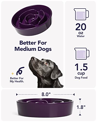 LE TAUCI Slow Feeder Dog Bowls Ceramic, 1.5 Cups Slow Feeding Dog Bowl Small Medium Breed, Puppy Slow Feeder Bow for Fast Eaters, Dog Dishes to Slow Down Eating, Puzzle Dog Food Bowl, Maze Purple