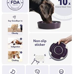 LE TAUCI Slow Feeder Dog Bowls Ceramic, 1.5 Cups Slow Feeding Dog Bowl Small Medium Breed, Puppy Slow Feeder Bow for Fast Eaters, Dog Dishes to Slow Down Eating, Puzzle Dog Food Bowl, Maze Purple