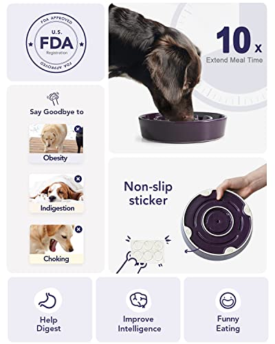 LE TAUCI Slow Feeder Dog Bowls Ceramic, 1.5 Cups Slow Feeding Dog Bowl Small Medium Breed, Puppy Slow Feeder Bow for Fast Eaters, Dog Dishes to Slow Down Eating, Puzzle Dog Food Bowl, Maze Purple