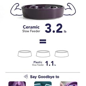 LE TAUCI Slow Feeder Dog Bowls Ceramic, 1.5 Cups Slow Feeding Dog Bowl Small Medium Breed, Puppy Slow Feeder Bow for Fast Eaters, Dog Dishes to Slow Down Eating, Puzzle Dog Food Bowl, Maze Purple