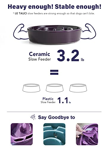 LE TAUCI Slow Feeder Dog Bowls Ceramic, 1.5 Cups Slow Feeding Dog Bowl Small Medium Breed, Puppy Slow Feeder Bow for Fast Eaters, Dog Dishes to Slow Down Eating, Puzzle Dog Food Bowl, Maze Purple