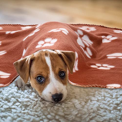 10 Pieces Pet Blankets with Paw Print Dog Cat Soft Fleece Blankets Sleep Mat Pad Bed Cover for Kitten Puppy and Other Small Animals, 24 x 28 Inch (Vibrant Color)