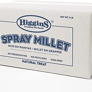 Higgins Spray Millet Bird Treats, 5 Pounds, Single Ingredient