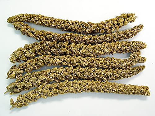 Higgins Spray Millet Bird Treats, 5 Pounds, Single Ingredient