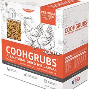 coohgrubs Premium Quality Dried Black Soldier Fly Larvae, Natural Nutritious Grubs for Chickens, High Protein and Calcium Rich Treats for Laying Hens, Ducks, Geese, Turkeys, Quails and More