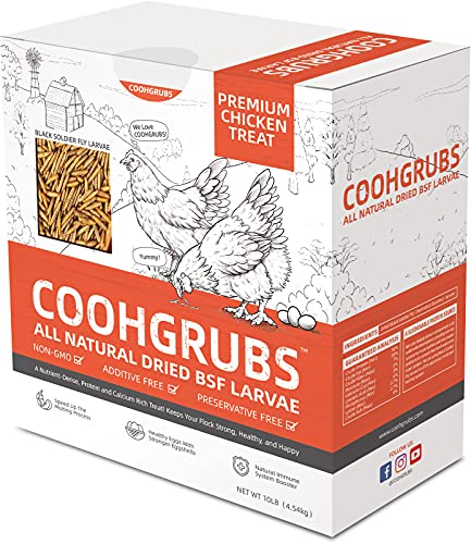 coohgrubs Premium Quality Dried Black Soldier Fly Larvae, Natural Nutritious Grubs for Chickens, High Protein and Calcium Rich Treats for Laying Hens, Ducks, Geese, Turkeys, Quails and More