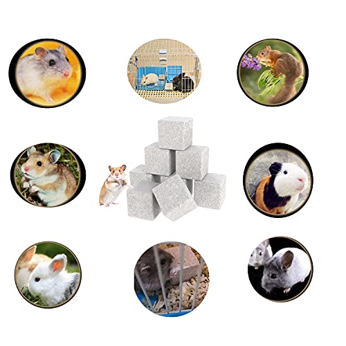 WANBAO 1.6 Inch Hamster Molar Lava Block, Small Animal Teeth Grinding Lava Block, for Rabbits, Parrots Etc 12 Pcs