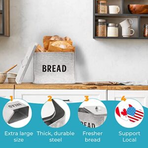 Saratoga Home Farmhouse Bread Box Extra Large, 30% Thicker Stainless Steel Bread Box for Kitchen Countertop, Fits 2+ Loaves, Galvanized Rustic Breadbox