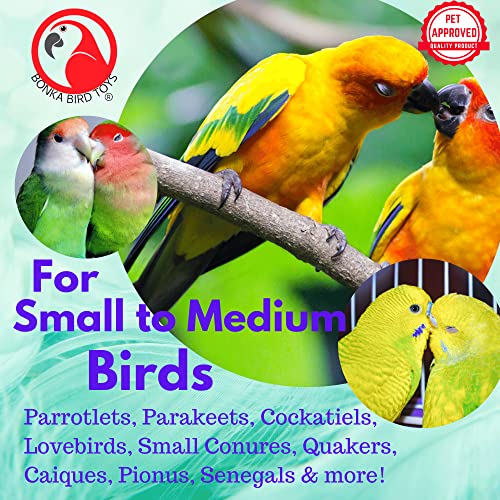 Bonka Bird Toys 3611 Crazy Sola Medium Bird Toy Natural Sola Parrot Cockatoo Amazon Conure Parakeet Budgie Finch Canary African Grey