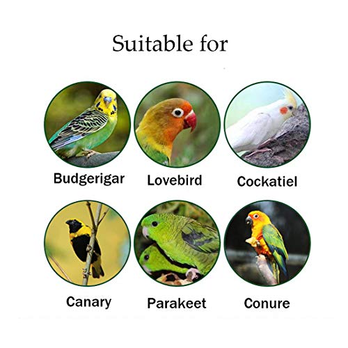 Hamiledyi Parrot Perch Stand Wood Bird Perch Platform Colorful Quartz Sand Paw Grinding Sticks for Cockatiel Conure Budgies Parakeet Lovebird-Random Color(7 pcs)