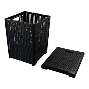 Begale 2-Pack 42 L Folding Plastic Laundry Baskets, Collapsible Laundry Hamper, Large Storage Basket, Black