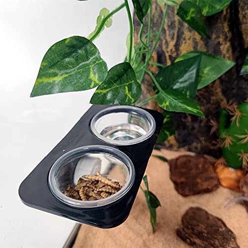 WOLEDOE 1oz Crested Gecko Food Cups, 100Pcs Reptile Plastic Feeding Dish