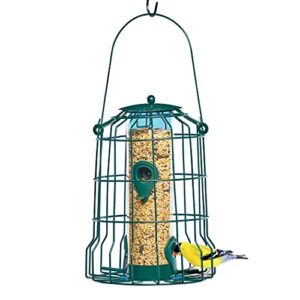 collections etc easy view 4-perch steel cage birdfeeder - 8 oz. capacity