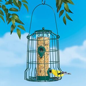 Collections Etc Easy View 4-Perch Steel Cage Birdfeeder - 8 oz. Capacity