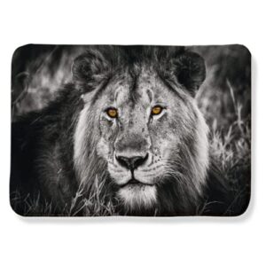 XYHH Area Rug Black and White Gray Lion Head for Living Room Dining Room Bedroom playroom Parent-Child Game mat Study Office Room Decor lz Gray,white 39x60in