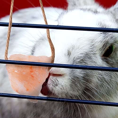 4 Pack Himalayan Small Pets Lick Salt Block on Rope- Natural Small Animal Mineral Salt Chew Toys with Rope, Small Pet Chew Treat Supplies for Guinea Pig Rabbits Bunny Ferrets